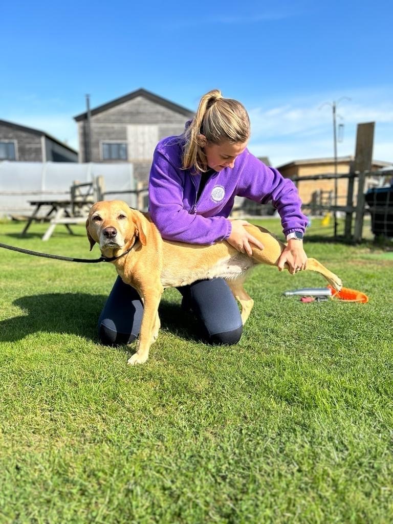 Index of /uploads/content/